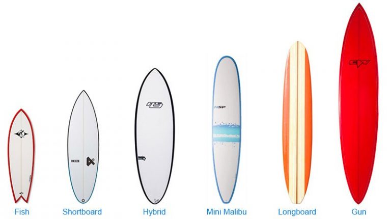Tipos de Tablas de Surf 2021 - SURF TRIPPERS